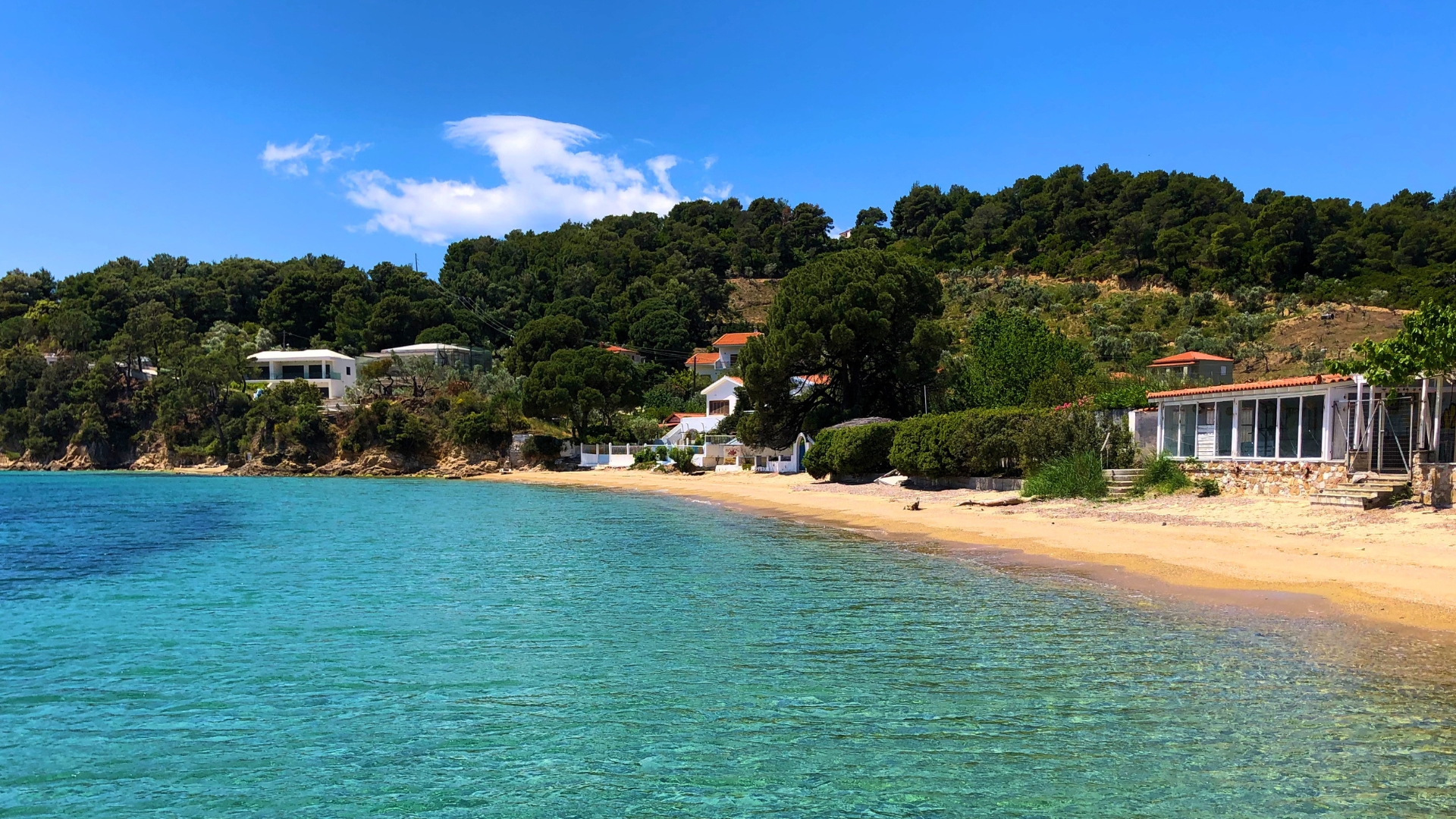 Παραλίες στην Σκιάθο: Ο Απόλυτος Οδηγός